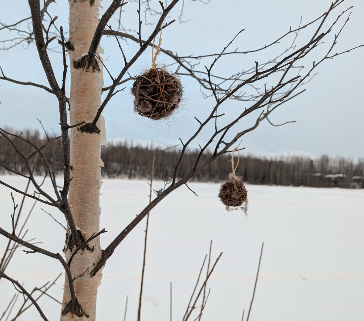 Do you want to build a nest ball? – Musk Ox Farm Shop