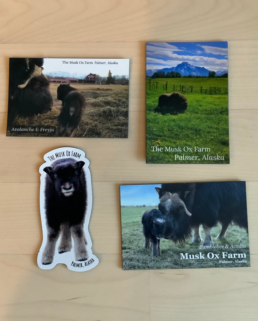 Art by Musk Ox – Musk Ox Farm Shop