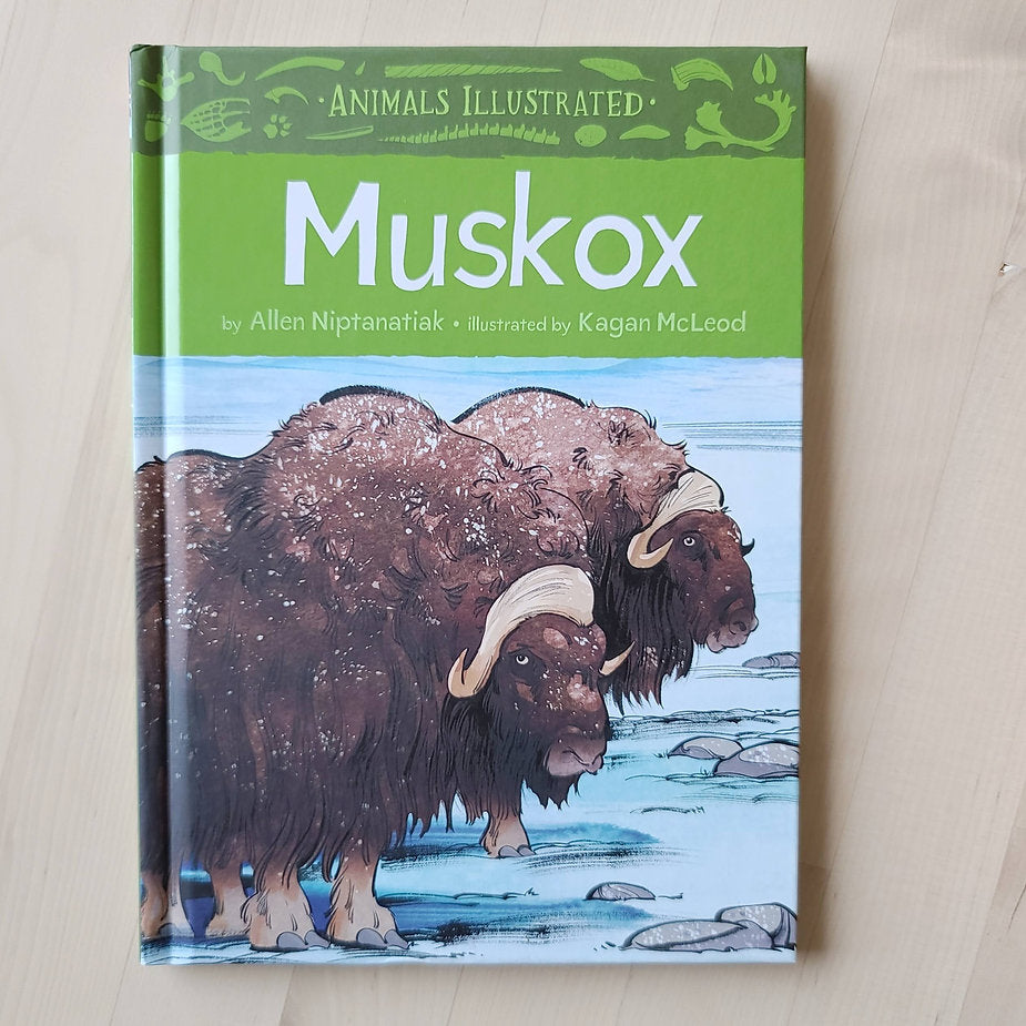 Animals Illustrated Muskox – Musk Ox Farm Shop