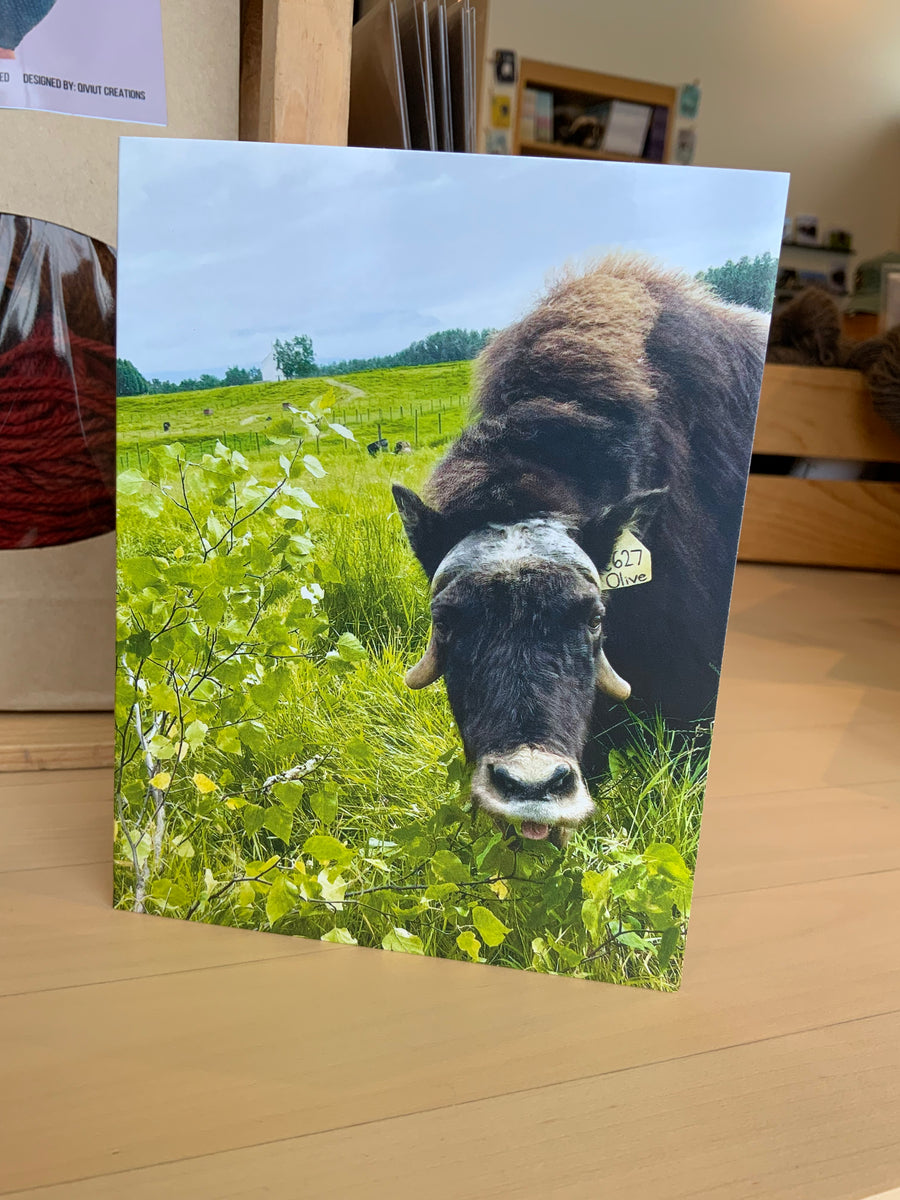 Olive Card – Musk Ox Farm Shop